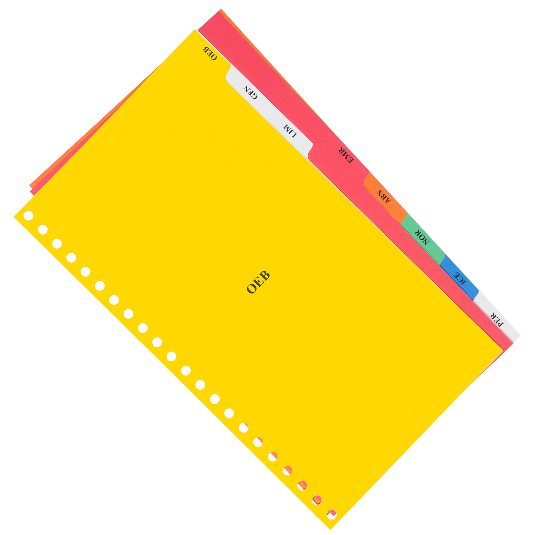 22-Hole Divider Tab Set - 8 Tabs - Aerobind