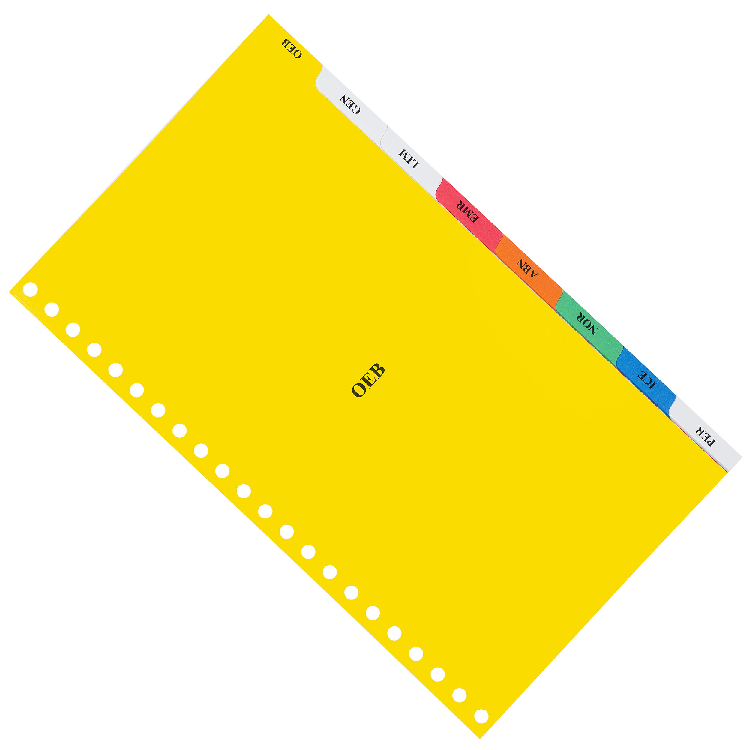 22-Hole Divider Tab Set - 8 Tabs - Aerobind